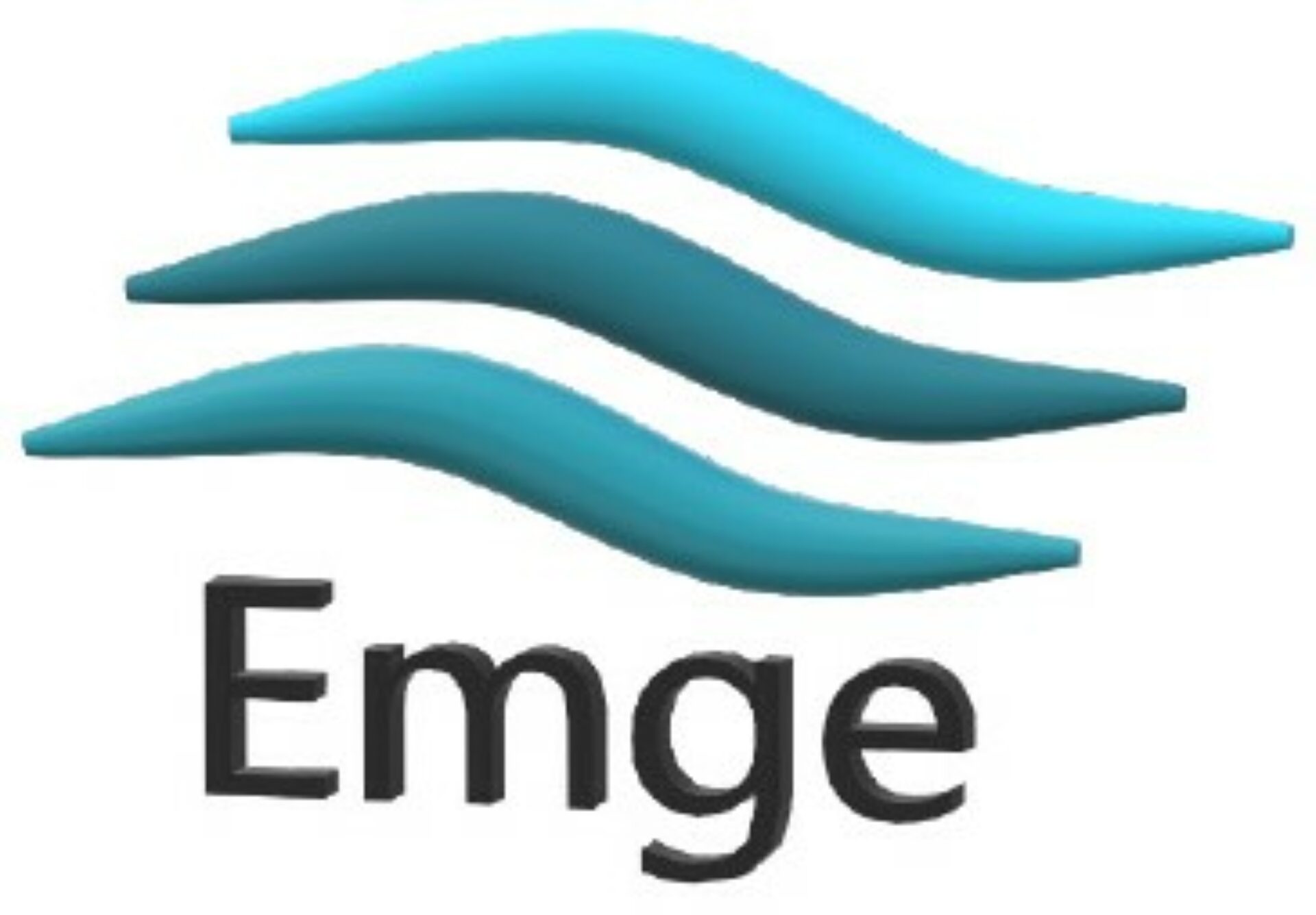 Equipe mobile de gériatrie externe (EMGE) - Centre Hospitalier Rives de ...